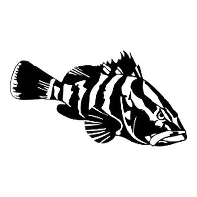 Respect The Fish就该等鱼类动物车贴乙烯贴花装饰