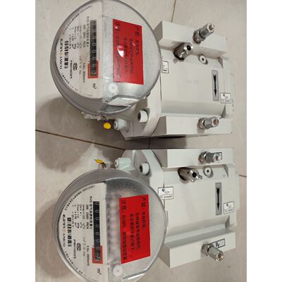议价可维修elster埃尔斯特RVG型气体腰轮流量计g65DN50pn16单价20