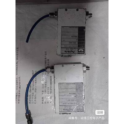 金流量计FCST1005LUC4J2F100N2