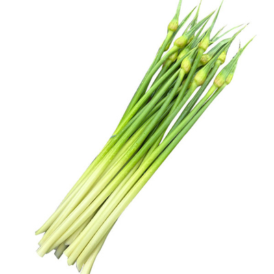 湖南益阳南县特产洋蒜苔粗蒜苔香蒜苗大蒜苔甜蒜苔现摘