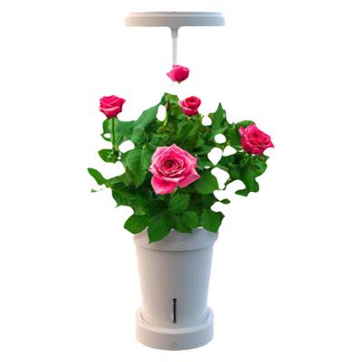 iGrow台灯可以种花的台灯