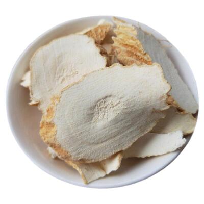 野生大罗伞广西野生玉朗伞