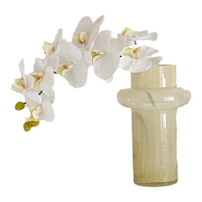 loko蝴蝶兰花超水润手感