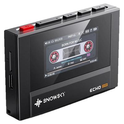 飞傲雪漫天ECHOMINI便携播放器