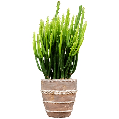 欧式花盆掬涵粗陶复古