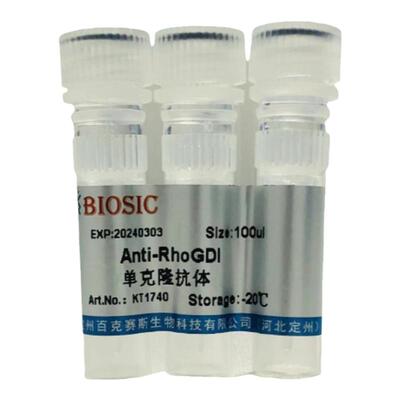Anti-RhoGDI Monoclonal antibody 实验用单克隆抗体百克赛斯生物