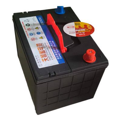 骆驼蓄电池48A天鹅58500