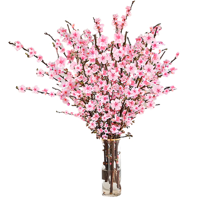 桃花红梅鲜枝水培鲜切带花苞春季