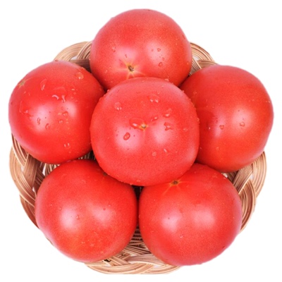 普罗旺斯西红柿沙瓤海阳孕妇生吃自然熟农家现摘山东新鲜番茄