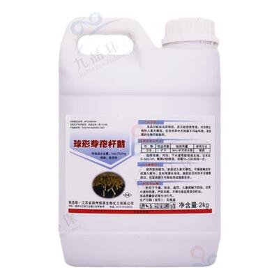 KONGXIA水体生物灭蚊虫卵