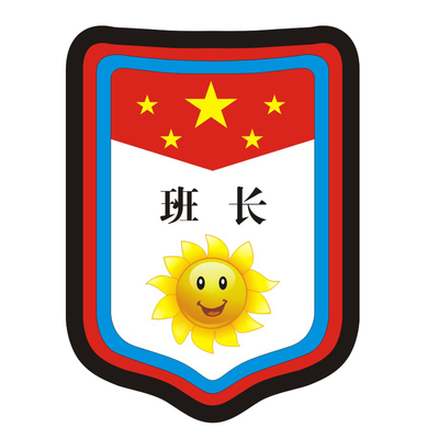 包邮少先队队干标志队委班干部袖章臂章 肩章 袖标 盾型队干标志