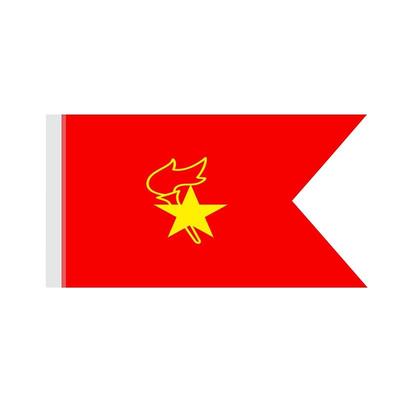 少先队中队旗手持少年先锋队