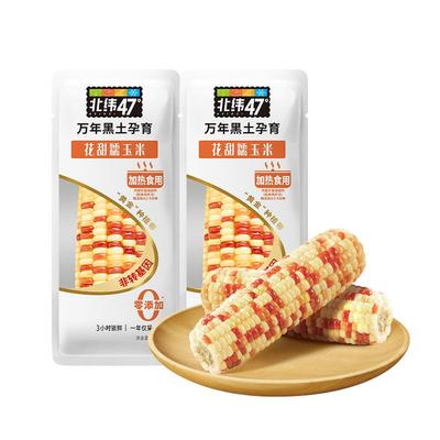 黑龙江产地花甜糯鲜食玉米