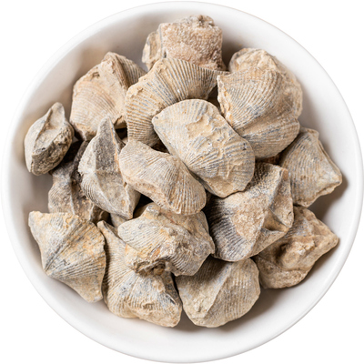 石燕500克中药材石燕燕石子