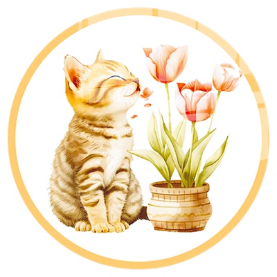 【遮洞神器】创意墙面遮丑装饰贴