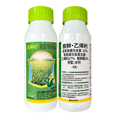 圣鹏30%胺鲜乙烯利玉米控旺专用