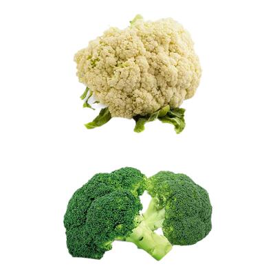 燎原西兰花菜花组合装