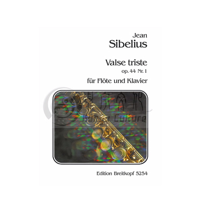 西贝柳斯悲伤圆舞曲大熊