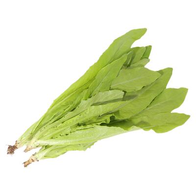 密云农家当日采油新鲜蔬菜