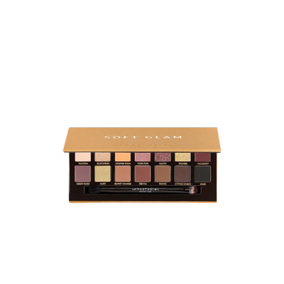 Anastasia Beverly Hills 眼影盘14色哑光亮片显色REVOLVE新款
