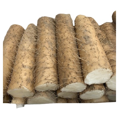 襄阳脆山药新鲜现挖现发