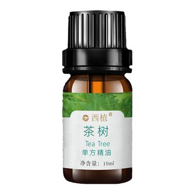 澳洲茶树单方精油控油茶树