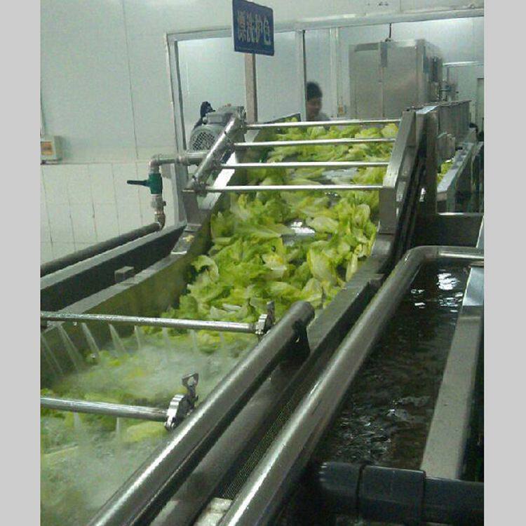蔬菜根茎类清洗机 净菜生产线 叶类菜加工流水线预制菜无损清洗线