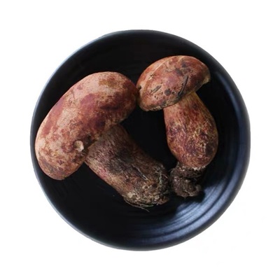 云南特产老赵家菌美椒香牛肝菌纯野生见手青黑牛肝制作素斋食品