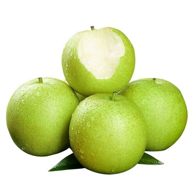 新鲜发货当季新鲜水果翠玉梨子酥脆一号砀山产地直发酥蜜梨
