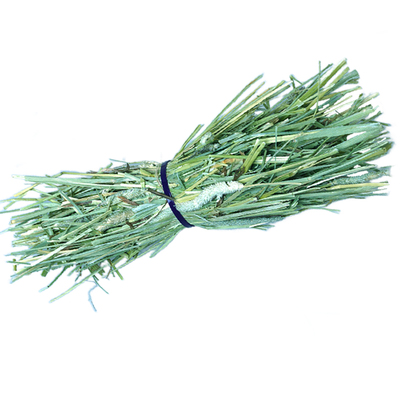 童话世界牧场进口草扎捆不浪费