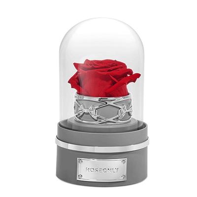 ROSEONLY钟罩永生花礼盒节日礼物