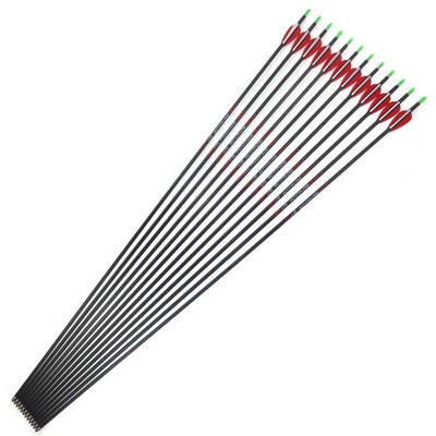 纯碳射准箭支AAE真羽一打千三