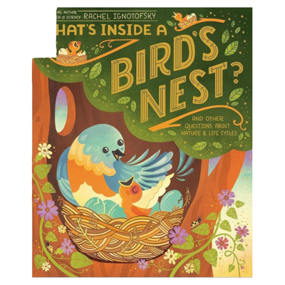 鸟巢的构造 Rachel Ignotofsky Whats Inside A Birds Nest英文原版 儿童科普绘本 动物图画书 精装进口童书4-7岁 大音