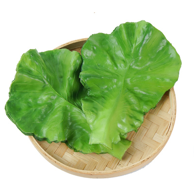 蔬菜玩具菡菡仿真模型拍摄道具