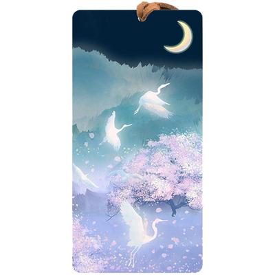 古筝指甲收纳加长版缠绕琵琶