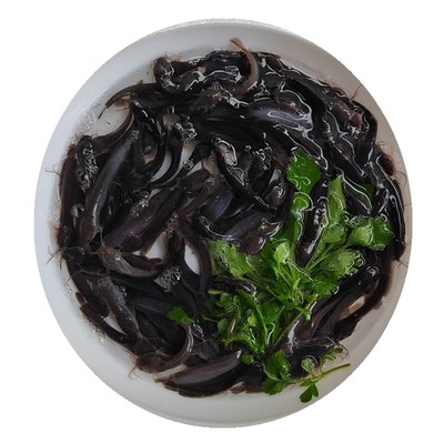 本地塘鲺鱼苗塘角鱼胡子鲶鱼滑哥