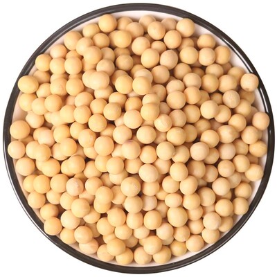 新货非转基因黄豆豆浆原料