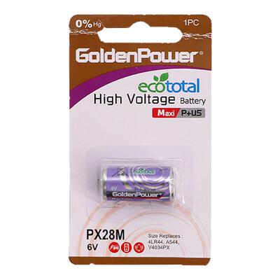 goldenpowerPX28G干电池2粒