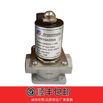 议价Greenlsland 润欧 燃气电磁阀 GIV10A220A GIV15A220A GIV25A
