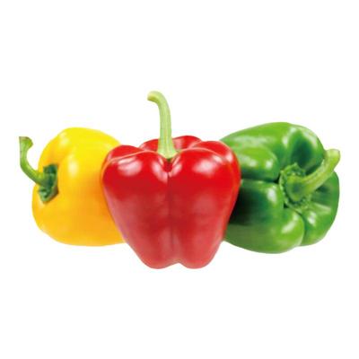 【老一生鲜】新鲜彩椒柿子椒圆椒