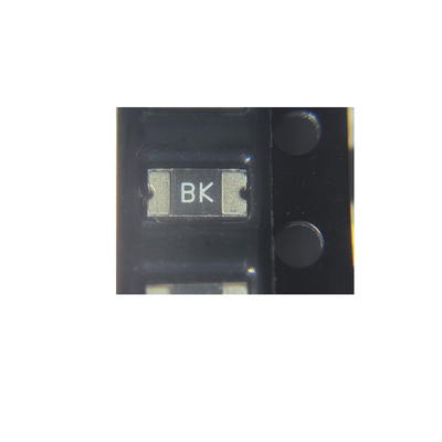 BSMD1206-200-16V自恢复保险丝