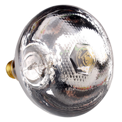 猪博士保温灯泡猪牛羊鸡鸭