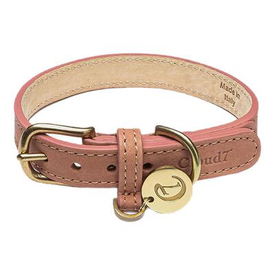 蒂尔加滕系列 Cloud7德国进口宠物中小型犬猫复古牛皮项圈牵引绳