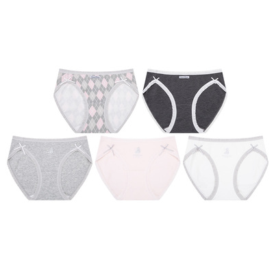 小熊女士内裤纯棉抗菌裆三角裤