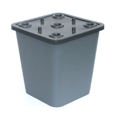 儒风阳台无土栽培花盆水培番茄