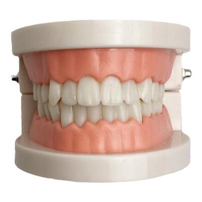 儿童忙碌板diy配件牙齿学刷牙busyboard蒙特梭利早教益智启蒙玩具