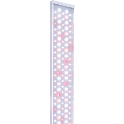 贵翔多肉补光灯植物补光灯全光谱