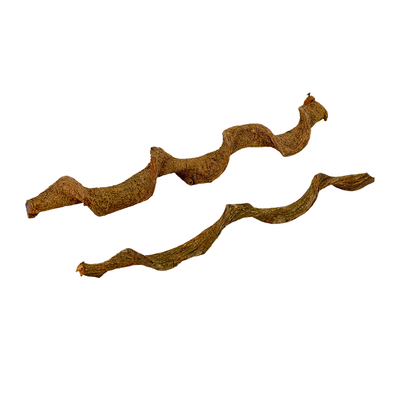 野山藤蔓宠物箱大韩爬虫造景素材