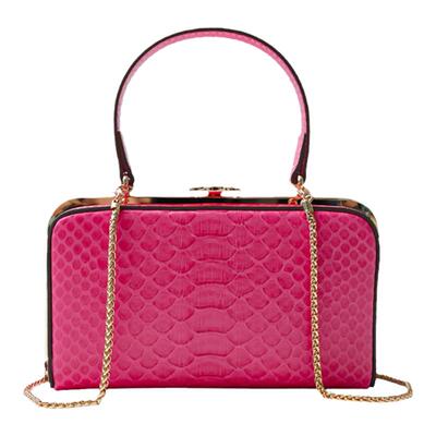 盒子包真丝内衬名媛大麟蛇皮女包