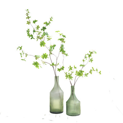 北欧ins风绿植家居日本植物绿叶